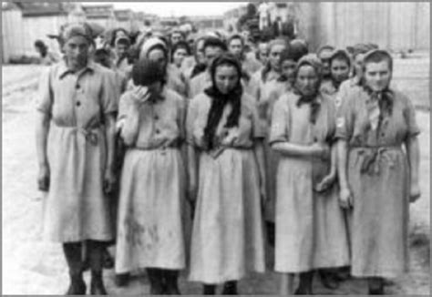 Sex During The Holocaust And The Weaponization Of Sexuality History