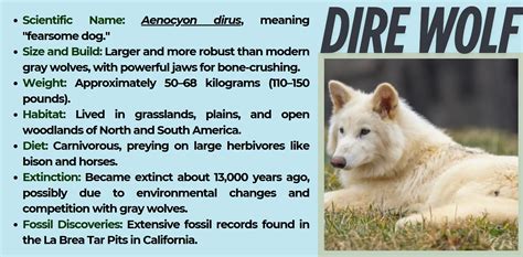 De-Extinction Breakthrough: Has an American Company Resurrected the ...