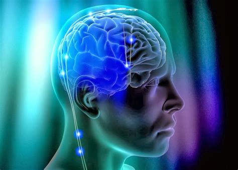 Darpa Seeks To Treat Memory Loss With Brain Implants Guardian Liberty