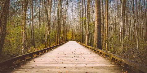 Online Courses Cross Enrollment Navigate Nides