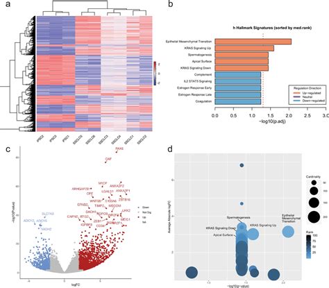 Rna Seq Analysis Of Differentially Expressed Genes Of Ipsc And Ssclc A