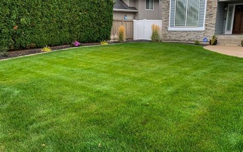 Lawn Care Special 25 Off Spokanes Finest Lawns