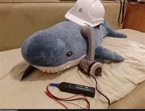Wireshark Or Something I Guess ·