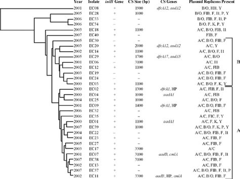 Cluster Analysis Of Escherichia Coli Isolates Based On Results Of Download Scientific Diagram