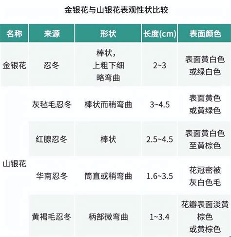 如何区分中药金银花和山银花 腾讯新闻