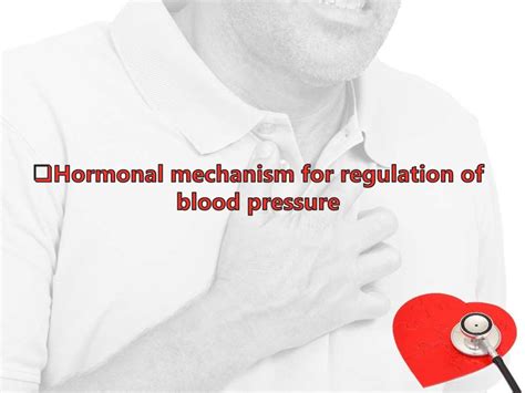 Regulation Of Blood Pressure