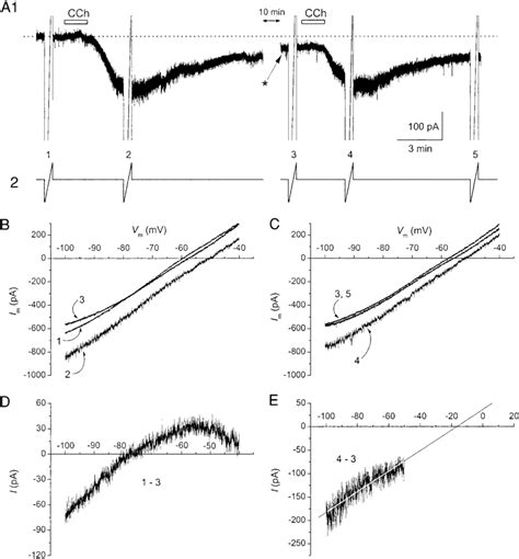 Depolarizing Current Response To Cch Stimulation Comprises Activation