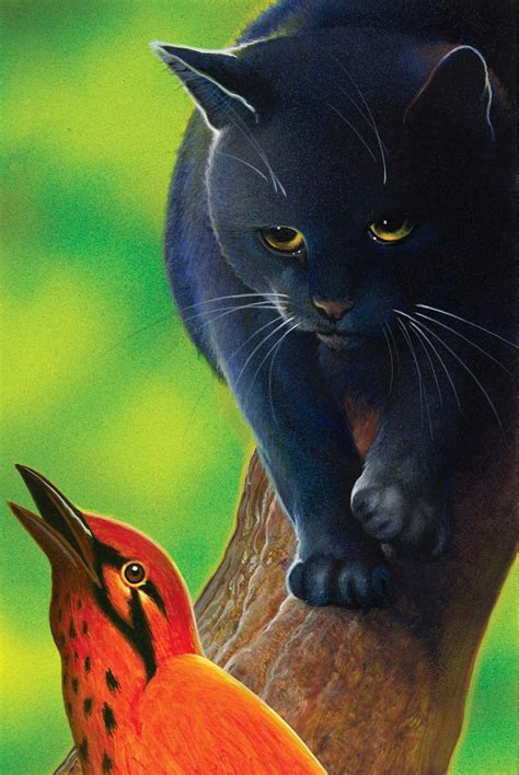 Crowfeather Warriors Wiki Fandom Powered By Wikia