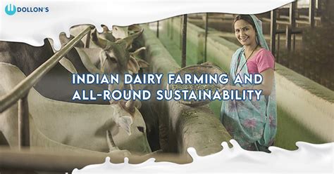 Sustainability In Indian Dairy Farming All That You Should Know