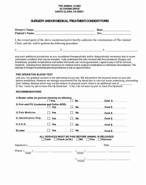 Consent To Treat Form Template Artofit