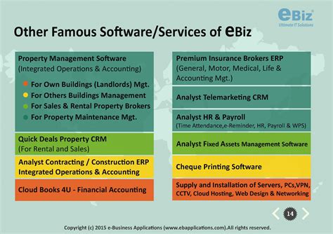 analyst erp developers software