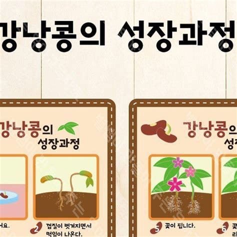 Instagram의 별만자님 “별만자 🌱강낭콩의 성장과정🌱 👉 Byulmanja
