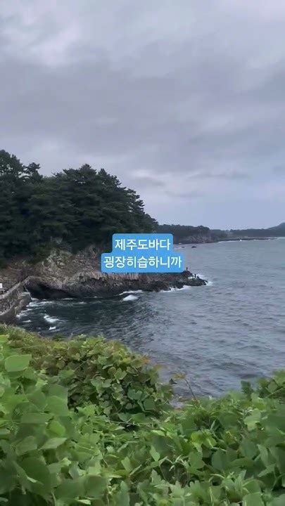 제주도바다 굉장히습하니까 민주적으로 에어컨파워냉방으로틀어 Youtube