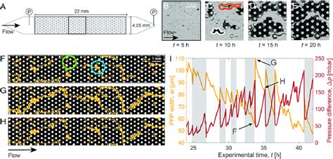 Pfp Formation And Intermittency In A Model Porous Medium Fluid Flow