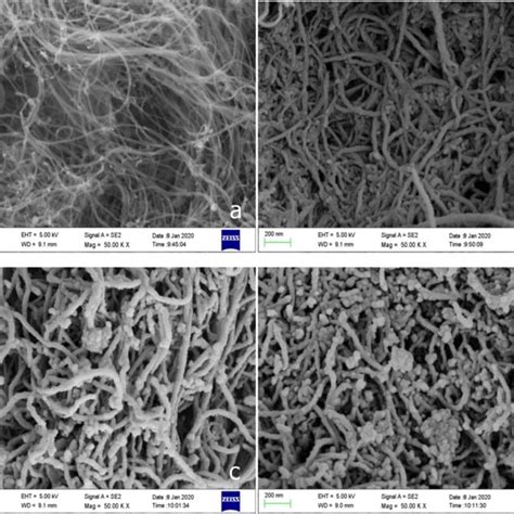 The Schematic Of The Developed Quechers Method Download Scientific Diagram