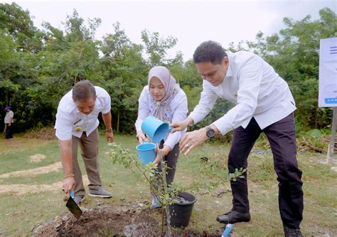 PLN Tanam 200 Pohon Bupati Barru Terima Kasih Untuk Peduli Lingkungan