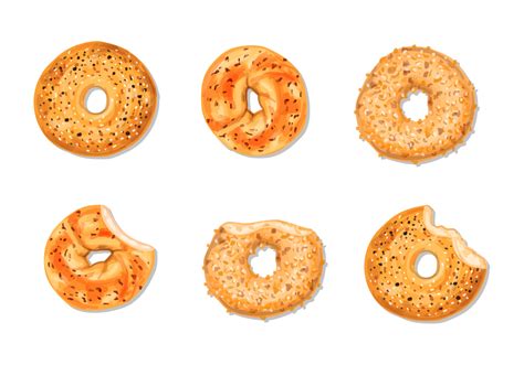 Bagel Illustration Download Free Vector Art Stock Graphics And Images
