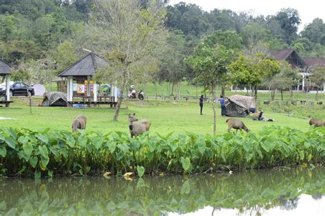 สายกางเต็นท์เตรียมพร้อม “ลำตะคอง” เตรียมเปิดให้พักแรมอีกครั้ง ตั้งแต่