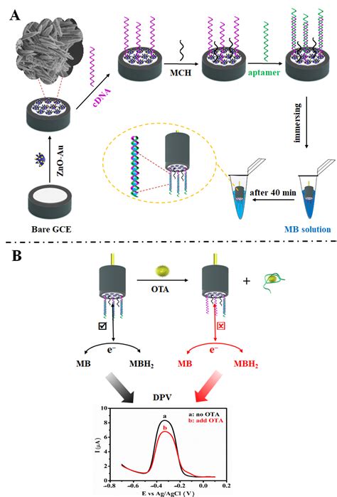 Scheme 1 Schematic Illustration Of The Fabrication Steps A Sensing