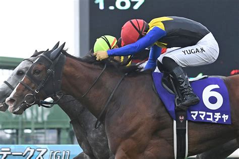 ママコチャは鮫島駿とのコンビでセントウルsへ 札幌記念で競走除外のボッケリーニは放牧へ【次走報】 競馬ニュース・特集なら東スポ競馬