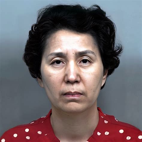 Lawrenceville Georgias Mihee Lee Arrested Why Seehee Cho Left South Korea Conan Daily