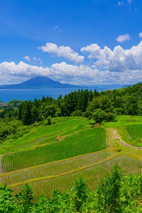 Dsc01694 鹿児島よかもん再発見！観光・グルメ・旅・地元民による穴場スポットを紹介