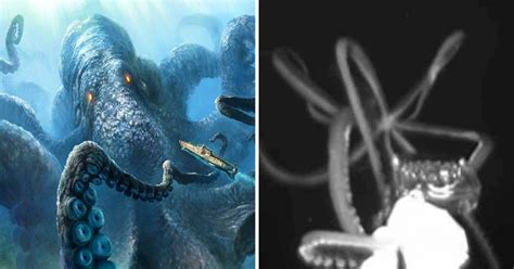 傳說海怪現身？美國深海首次目睹「巨型章魚」 科學家驚喜：有夠大隻！ 爆新聞