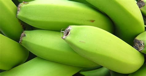Grüne Banane essen Ist das gesund Genialetricks