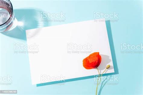 빈 카드와 붉은 양귀비 꽃은 밝은 파란색 배경에 단단한 그림자가 있습니다 휴일 개념 인사말 카드 초대장 모형 평면도 평지 0명에