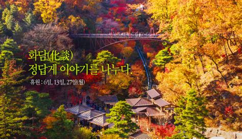 2021년 단풍 시기 및 단풍 구경 명소 추천 단풍 구경 갈만한 국내여행지 5 rereco