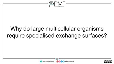 SOLUTION Flashcards 2 1 2 5 Gas Exchange And Membrane Transport