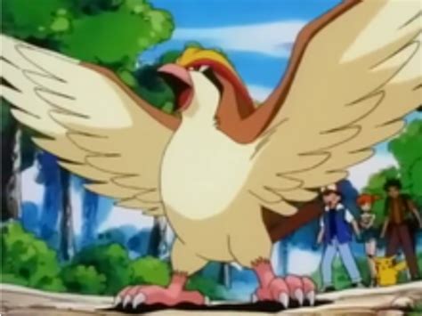 Opinions On Ashs Pidgeot R Pokemon