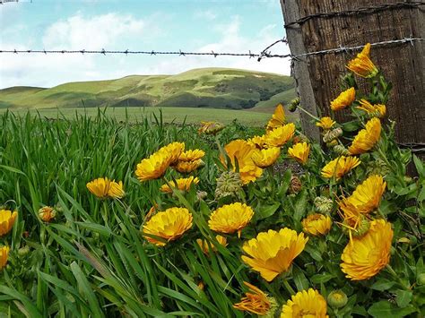 Rural Nipomo California Revmac San Luis Obispo County San Luis Obispo