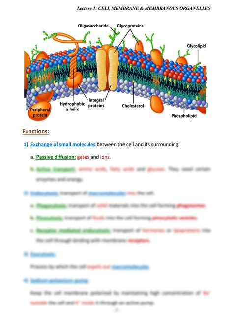 Solution Histology Of Cell Membrane Membranous Organelles Studypool