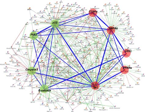 Figure 1 From Hepatitis B Virus Hbv Core Related Antigen During