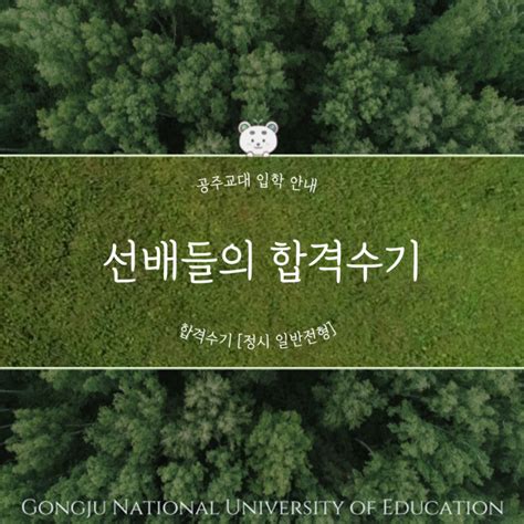 공주교대 합격수기 교육학과 25학번 오인영 정시 일반전형 네이버 블로그