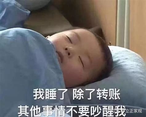 怼人，我是专业的 知乎