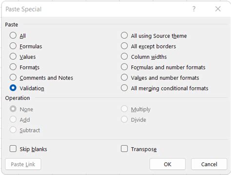 ExcelPasteSpecialValidation BeginCodingNow