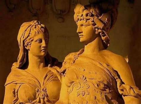 لوللو Apollo 😂 أبوللو أو Veterinary Safwa Zaman