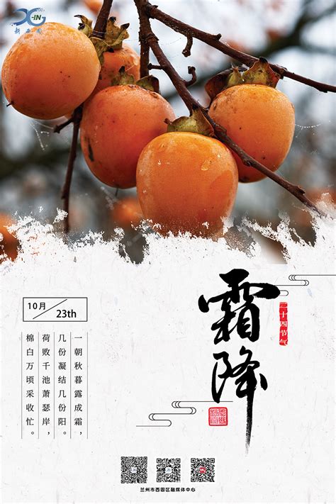 新甘肃云微“海”选（第93期） 霜降水反壑 风落木归山