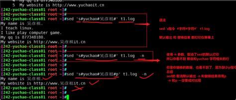 Linux三剑客之Sed文本处理神器一分钟掌握核心技能 知乎