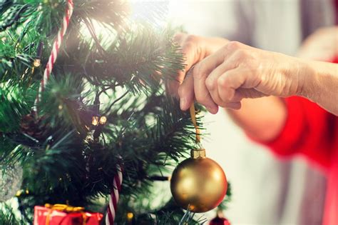 Cuál es el significado del árbol de Navidad y por qué se arma el de diciembre Infobae