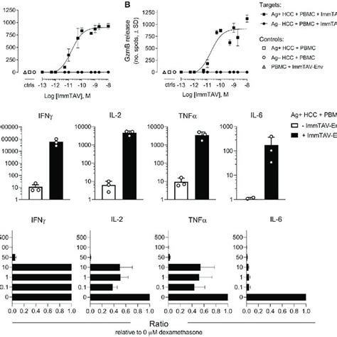 Immtav Env Redirects Activation Of Polyclonal T Cells Specifically