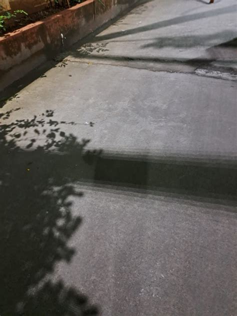 Another Pixelated Tree Shadow Rglitchinthematrix