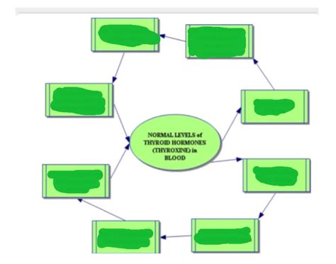Thyroid Hormone Negative Feedback Loop Quiz