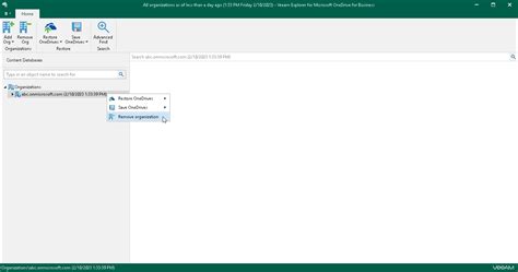 Removing Organizations Veeam Backup Explorers Guide