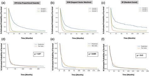 Predicted Survival Curves For Three Patients In The Testing Dataset