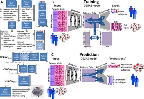 A Workflow Diagram Of The Degas Framework A The Workflow For A Typical Download Scientific