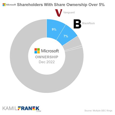 Who Owns Microsoft The Largest Shareholders Overview Kamil Franek