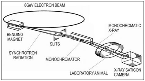 Synchrotron X Ray Radiation Sxr In Medical Imaging Current Status And Future Prospects